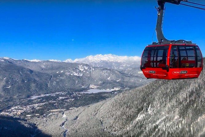 Whistler Sightseeing Tour from Vancouver: See Horseshoe Bay and Shannon Falls - Who Would Love This Tour?