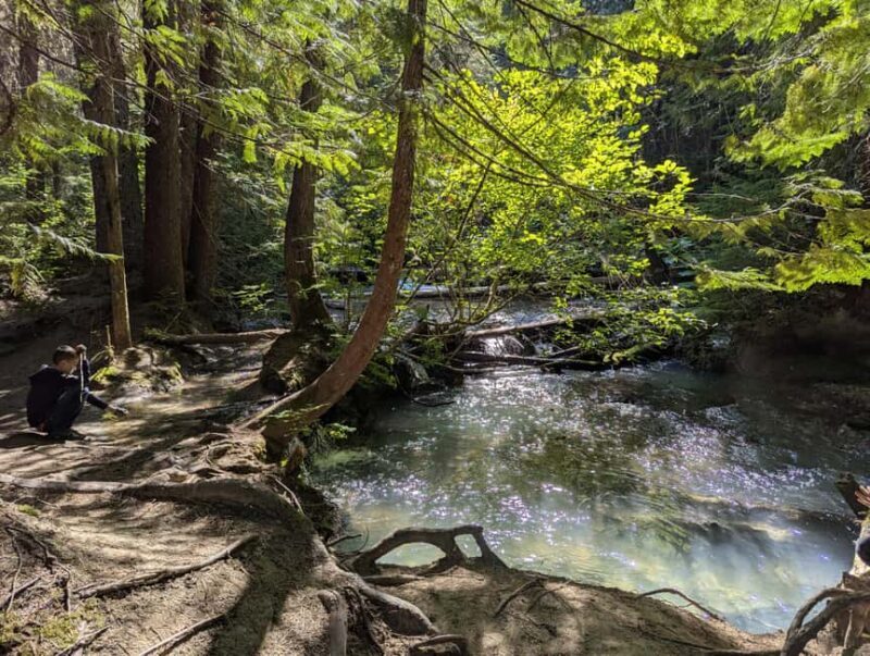 Whistler: Tour, Sensory Nature Experience for Families - A Closer Look at the Experience