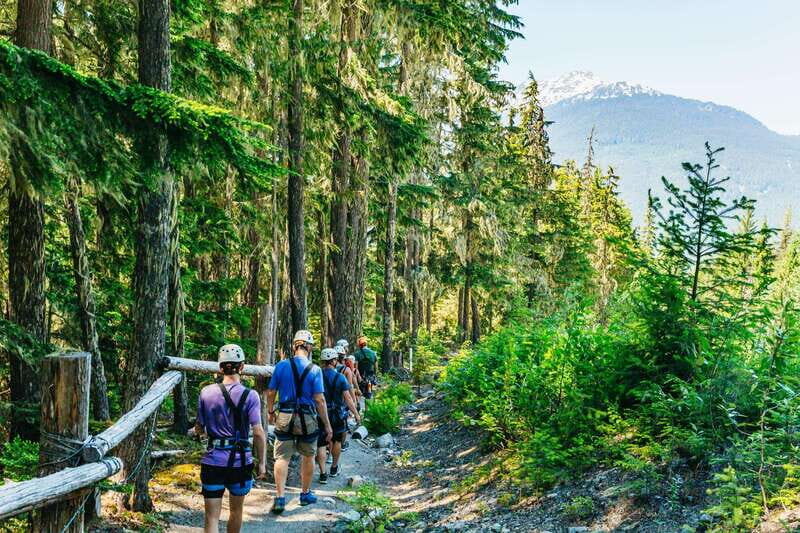 Whistler: Ziplining Experience - What to Expect on the Day