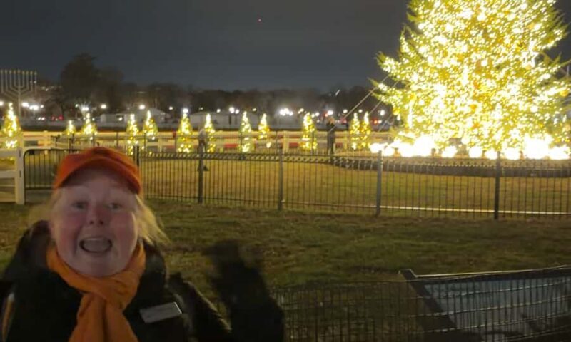 White House National Christmas Tree & Holiday Light Bus Tour - Value and Practical Details