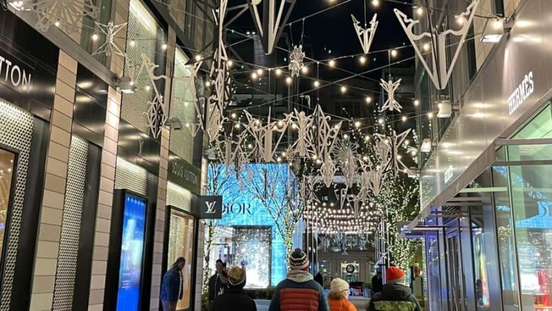 White House National Christmas Tree & Holiday Light Bus Tour - Final Thoughts