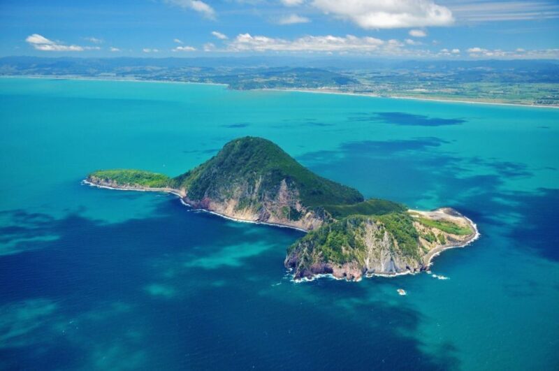White Island & Whale Island 1-Hour Volcano Scenic Flight - Practical Tips for Booking and Enjoying Your Flight
