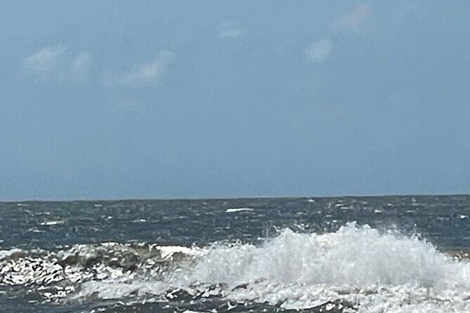 White point Battery and River Run through Charleston Harbor Boat - Final Thoughts: A Scenic, Personalized Charleston Experience