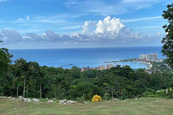 White River Tubing and Ocho Rios Private Tour with Hotel pickup - Introduction: A Well-Rounded Jamaican Experience