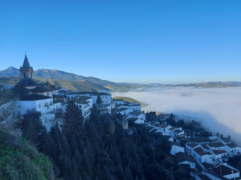 White Villages and Ronda: Day Trip from Seville - Key Points