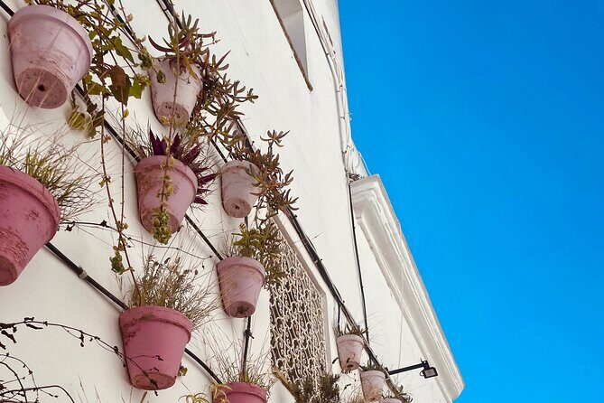 White villages from Seville: Arches, Medina Sidonia and Vejer - Who Will Enjoy This Tour?