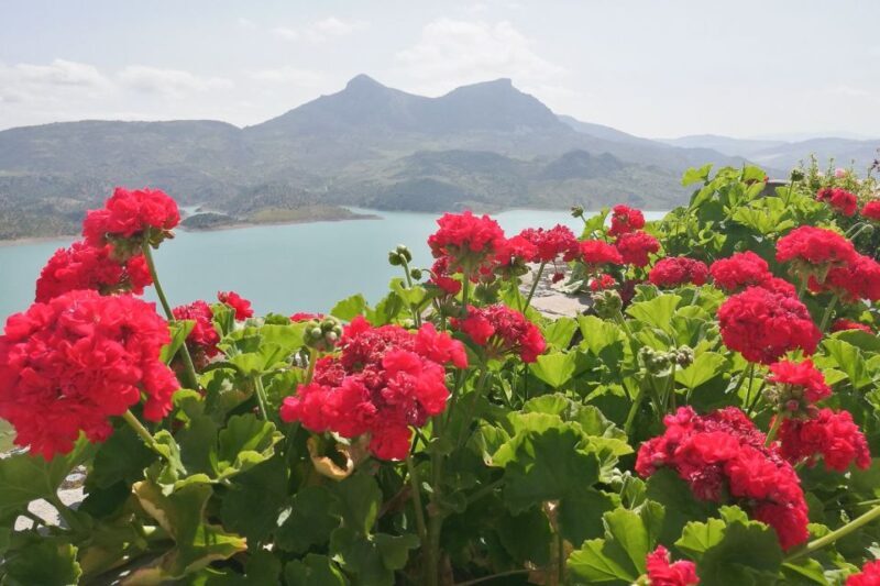 White Villages & Ronda 2-Days Trip & Overnight Stay - What’s Included and What to Expect