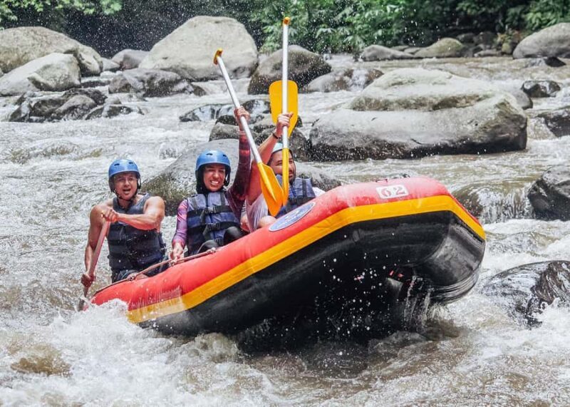 White Water Rafting Adventure on Ubud Ayung River - Key Points
