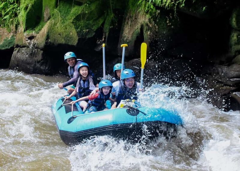White Water Rafting Adventure on Ubud Ayung River - Who This Tour Is Best For