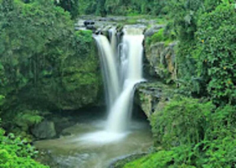 White water rafting ayung and waterfall - Who Should Consider This Tour?