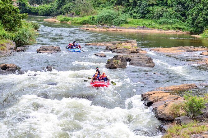 White Water Rafting from Kitulgala - The Value and Considerations