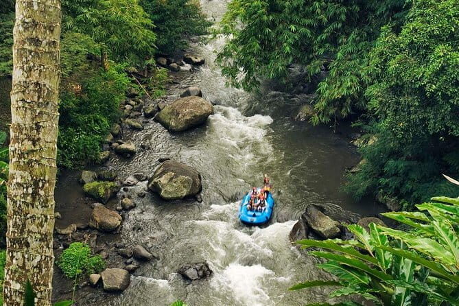 White Water Rafting in Bali - Who Will Love This Tour?