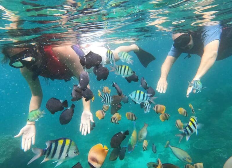 White Water Rafting with Blue Lagoon Snorkeling - Final Thoughts: A Well-Balanced Bali Adventure