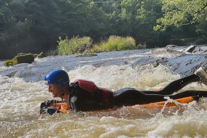 White Water River Bugs in Llangollen - What You Can Expect at Each Stage