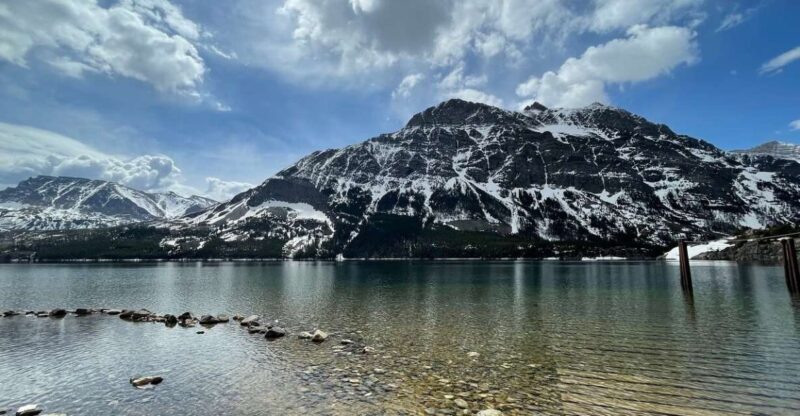 Whitefish: Private East Glacier & Two Medicine Driving Tour - Price & Value