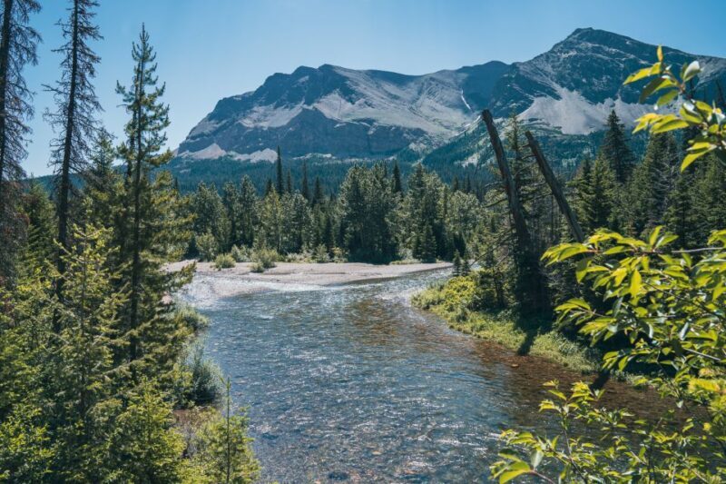 Whitefish: Private East Glacier & Two Medicine Driving Tour - Final Thoughts