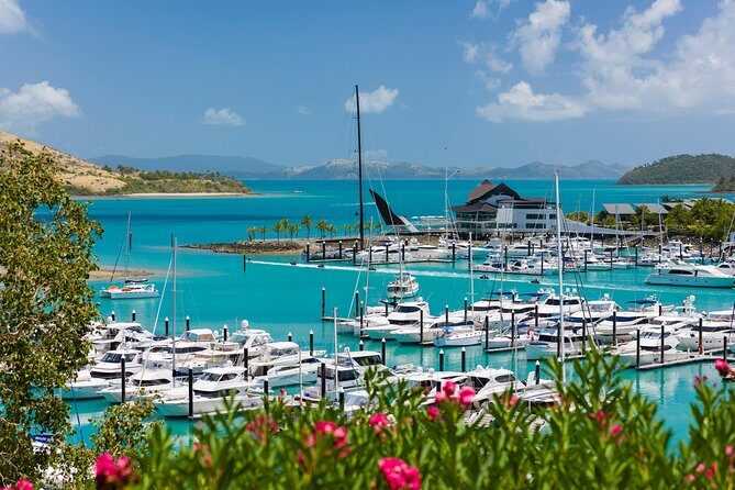 Whitehaven Beach and Hamilton Island Cruise from Airlie Beach - Who Will Appreciate This Tour?