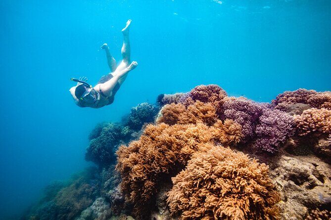 Whitehaven Beach and Hill Inlet Lookout Snorkeling Cruise - Discovering the Whitehaven Beach and Hill Inlet Lookout Snorkeling Cruise