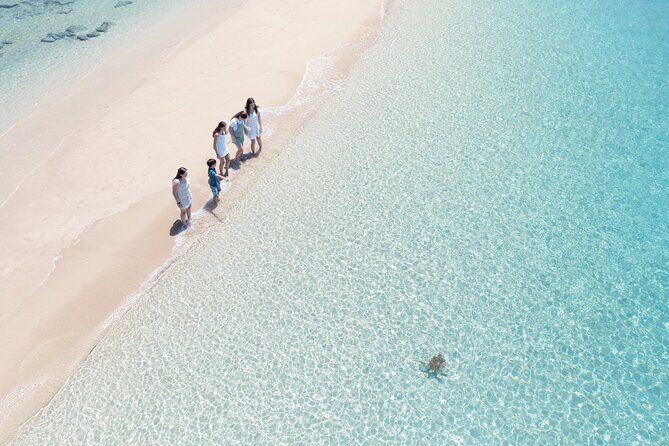 Whitehaven Beach and Hill Inlet Lookout Snorkeling Cruise - FAQs