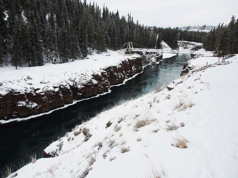 Whitehorse: Half-Day Snowshoeing Tour - What to Expect on the Whitehorse Snowshoe Tour