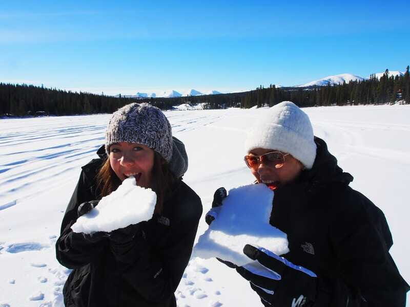 Whitehorse: Half-Day Snowshoeing Tour - Reviews and Authentic Voices