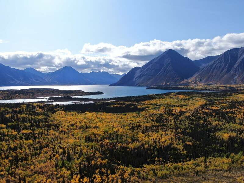 Whitehorse: Kluane - Wildlife & Vistas - Start of the Adventure: The Journey Begins