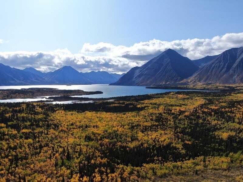 Whitehorse: Kluane - Wildlife & Vistas - What Travelers Say: The Good and the Not-So-Good