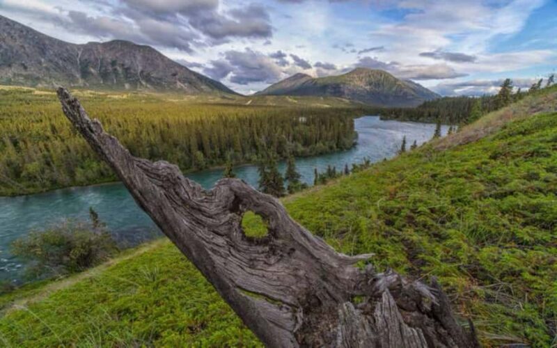 Whitehorse : Takhini Guided Half Day Paddle Adventure - Final Thoughts