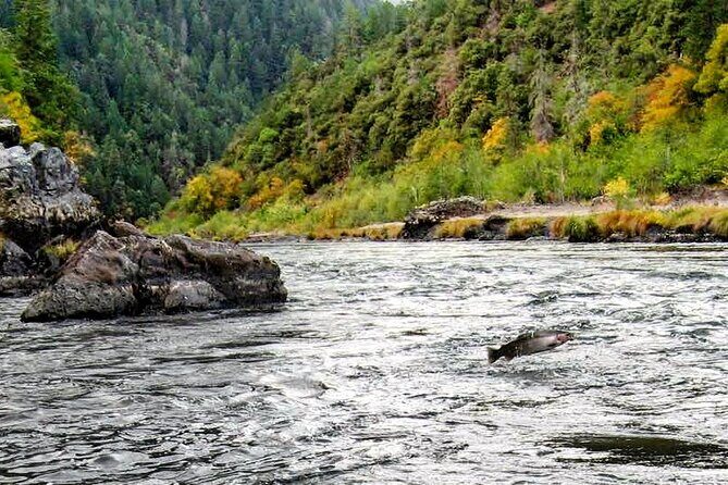 Whitewater Fishing and Rafting Experience in Rogue River - Who Should Consider This Trip?