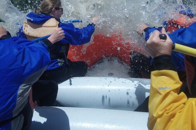 Whitewater Rafting Jackson Hole Family Friendly Classic Raft - Who Should Consider This Tour?