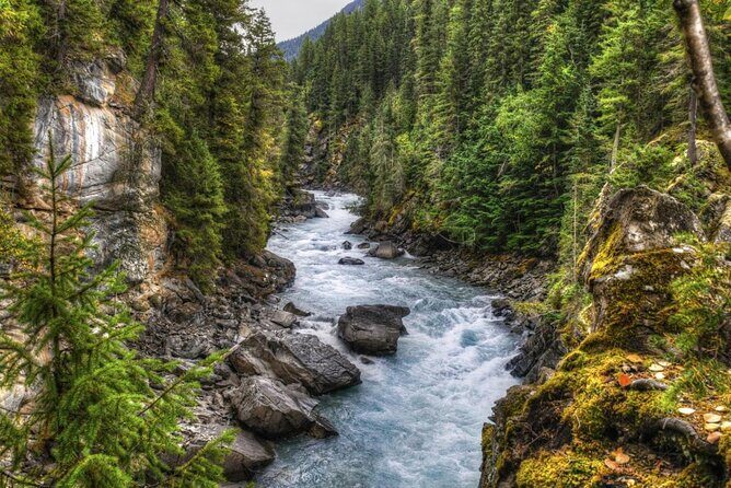 Whitewater Rafting on Jasper's Fraser River - Key Points