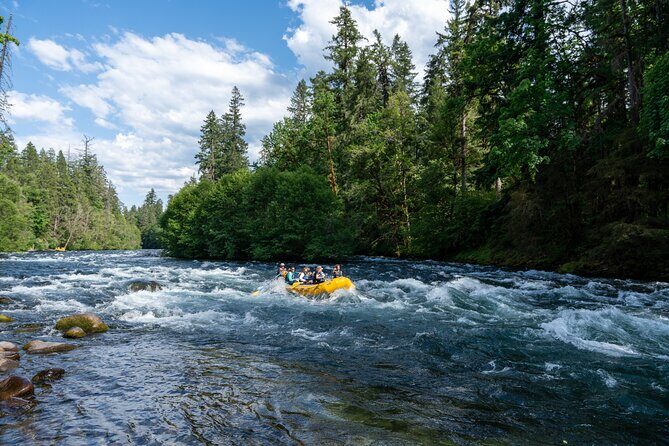 Whitewater Rafting on The McKenzie River - Meeting Points and Logistics