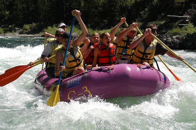 Whitewater Rafting Small Boat Adventure Snake River Jackson Hole - The Scenic and Animal Encounters