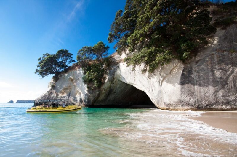 Whitianga: 2-Hour Cathedral Cove and Volcanic Coast Cruise - Introduction: A Scenic Seafarer’s Delight