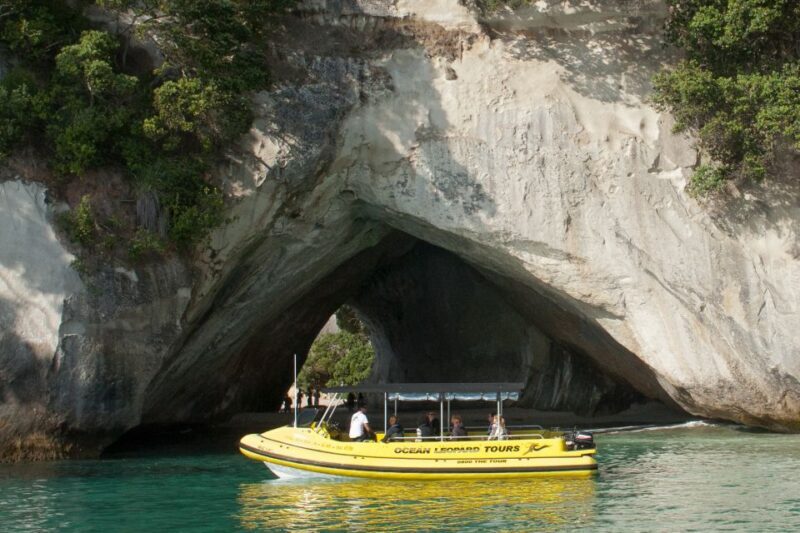 Whitianga: 2-Hour Cathedral Cove and Volcanic Coast Cruise - Who Should Consider This Tour?