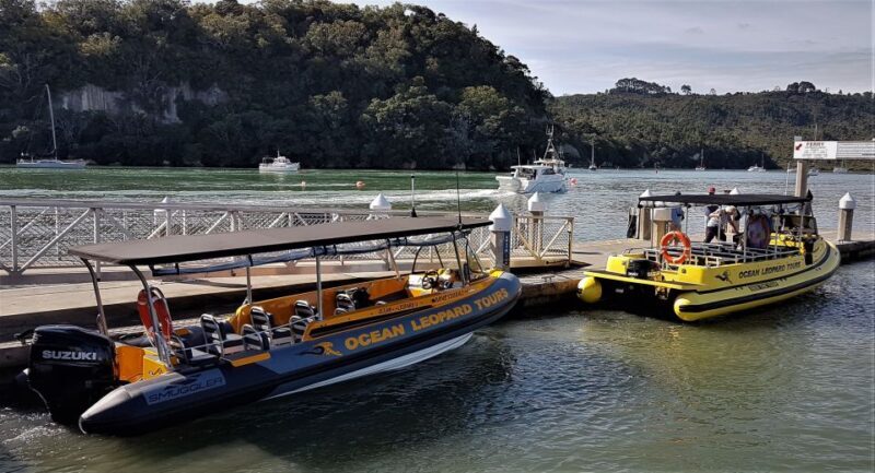 Whitianga: 2-Hour Cathedral Cove and Volcanic Coast Cruise - Final Thoughts: Is This the Right Tour for You?