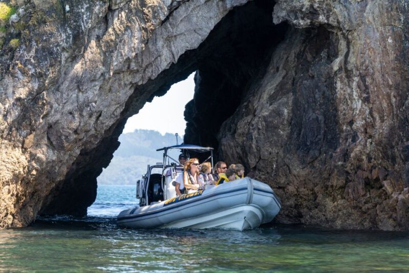 Whitianga: Cathedral Cove Thrilling Boat Tour and Snorkeling - Key Points