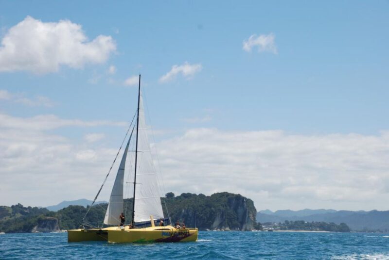 Whitianga: Sailing Trip to Cathedral Cove - Who Will Love This Tour?