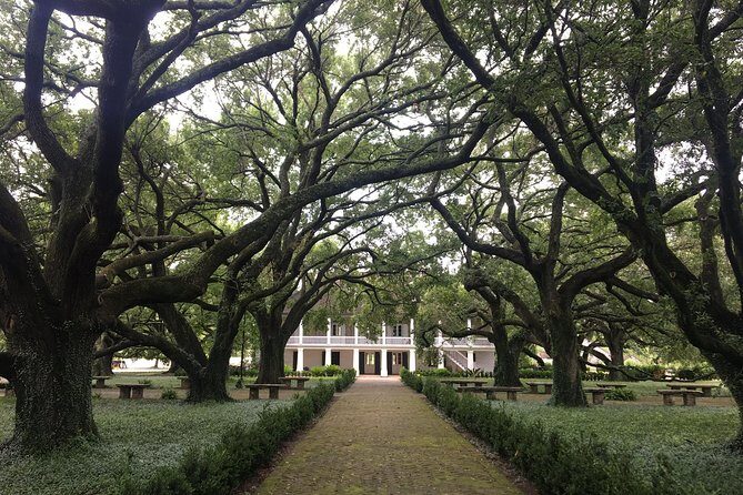 Whitney Plantation and Airboat Tour from New Orleans - Authentic Experiences and Personal Touches