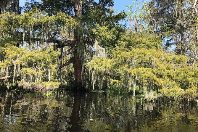 Whitney Plantation and Manchac Swamp Kayak Tour Combo - An In-Depth Look: Exploring Louisiana’s Natural and Cultural Heritage