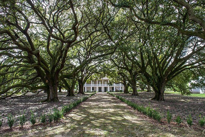 Whitney Plantation Tour with Transportation from New Orleans - Authentic Feedback from Visitors