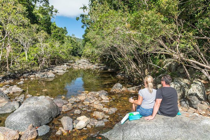 Whitsunday Segway Rainforest Discovery Tour - The Real Experience: Authentic Feedback from Travelers