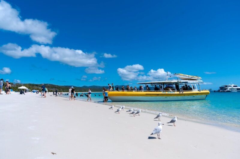 Whitsunday: Whitsunday Islands Tour with Snorkeling & Lunch - Practical Considerations
