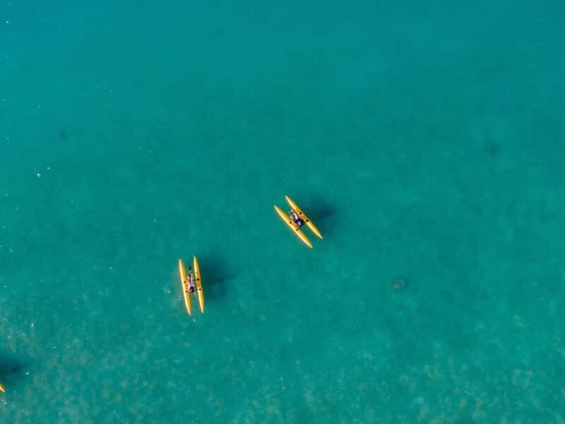 Whitsundays: Water Bike Eco-Tour with Guide - Actual Reviews Speak Volumes