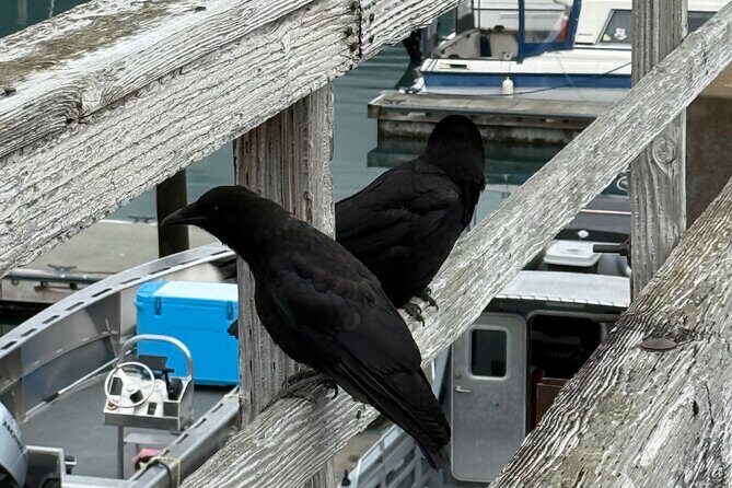 Whittier Drive and Coastal Alaska Full Day Adventure - Practical Details and What to Expect