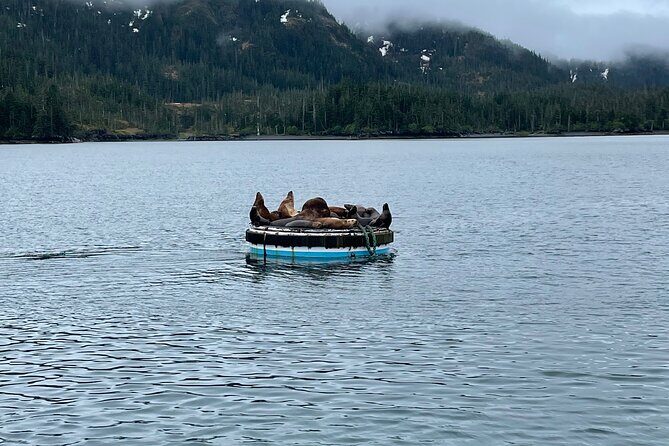 Whittier Drive and Coastal Alaska Full Day Adventure - Authentic Insights and Travel Tips