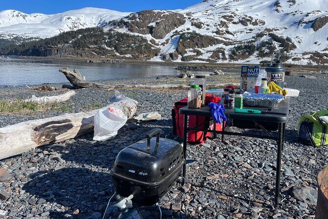 Whittier Drive and Coastal Alaska Full Day Adventure - Who is This Tour Best For?