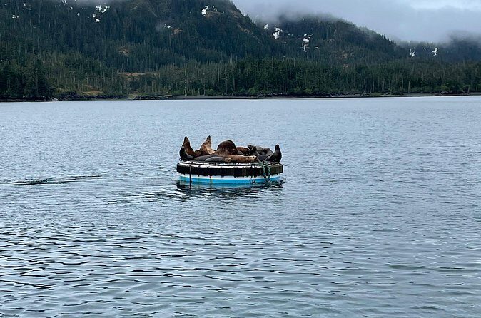 Whittier Drive and Coastal Alaska Full Day Adventure - FAQ