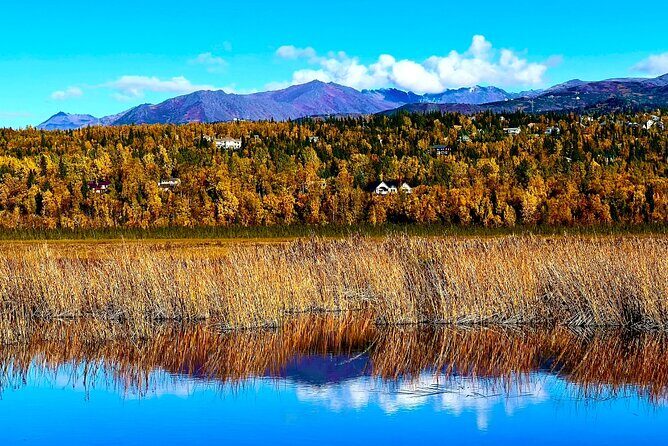 Whittier to Anchorage Cruise Transfer Wildlife Center and Tram - Final Thoughts