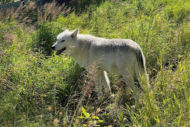 Whittier to Anchorage Cruise Transfer Wildlife Center and Tram - FAQs